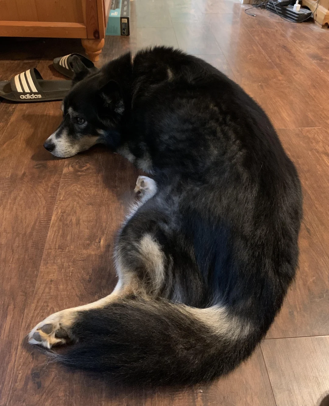 Mom left | Scrolller