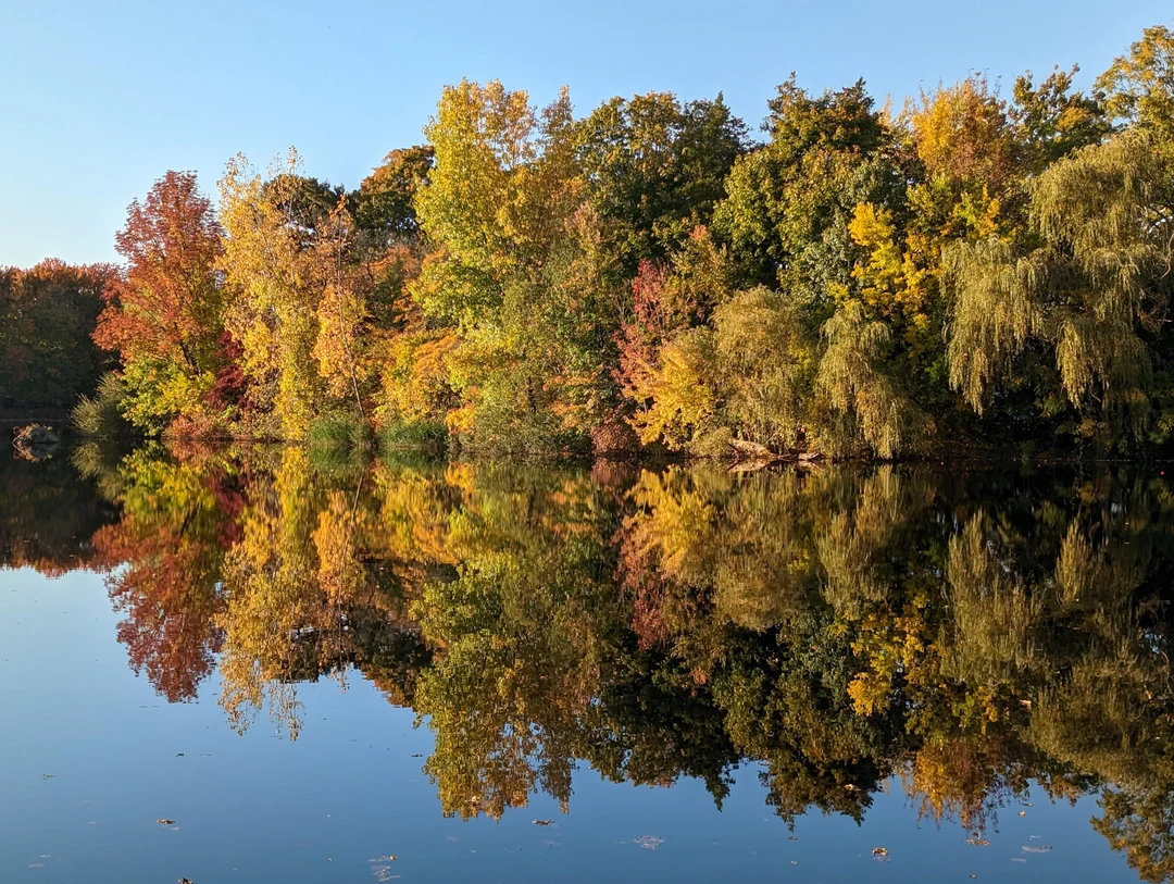 New England pond mirror, [OC] [4080x3072] | Scrolller