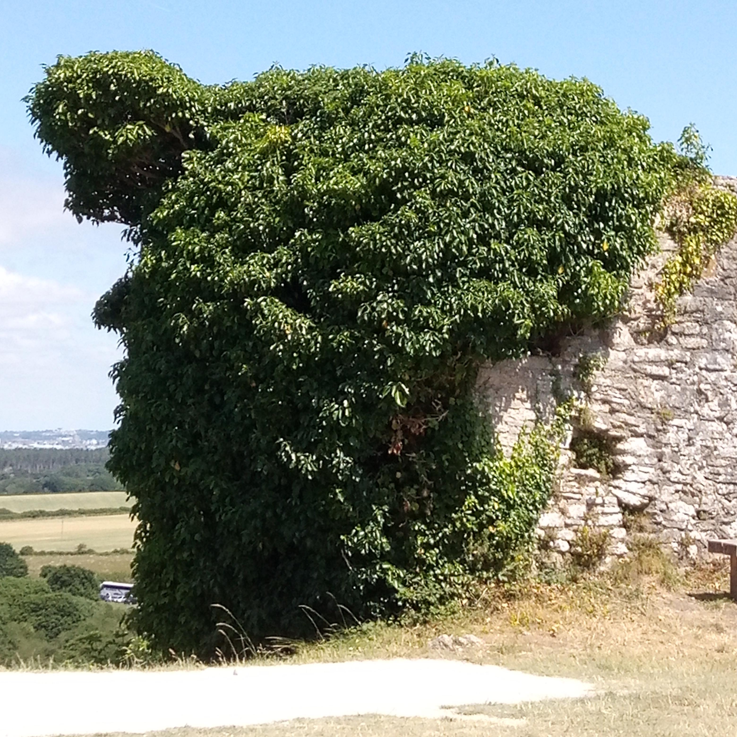 name the famous person (impossible) | Scrolller