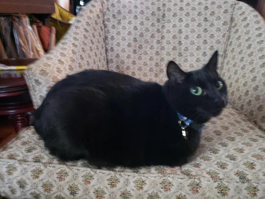 A Smudge loaf! | Scrolller