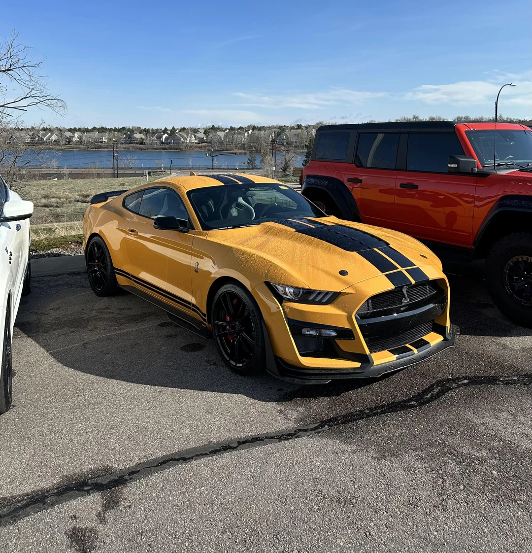 Ford Mustang Shelby GT500 [2713x2819] | Scrolller