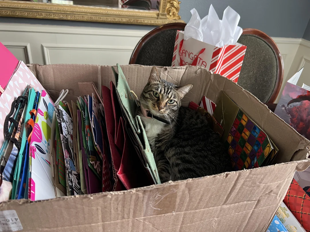 Not helpful when wrapping presents | Scrolller