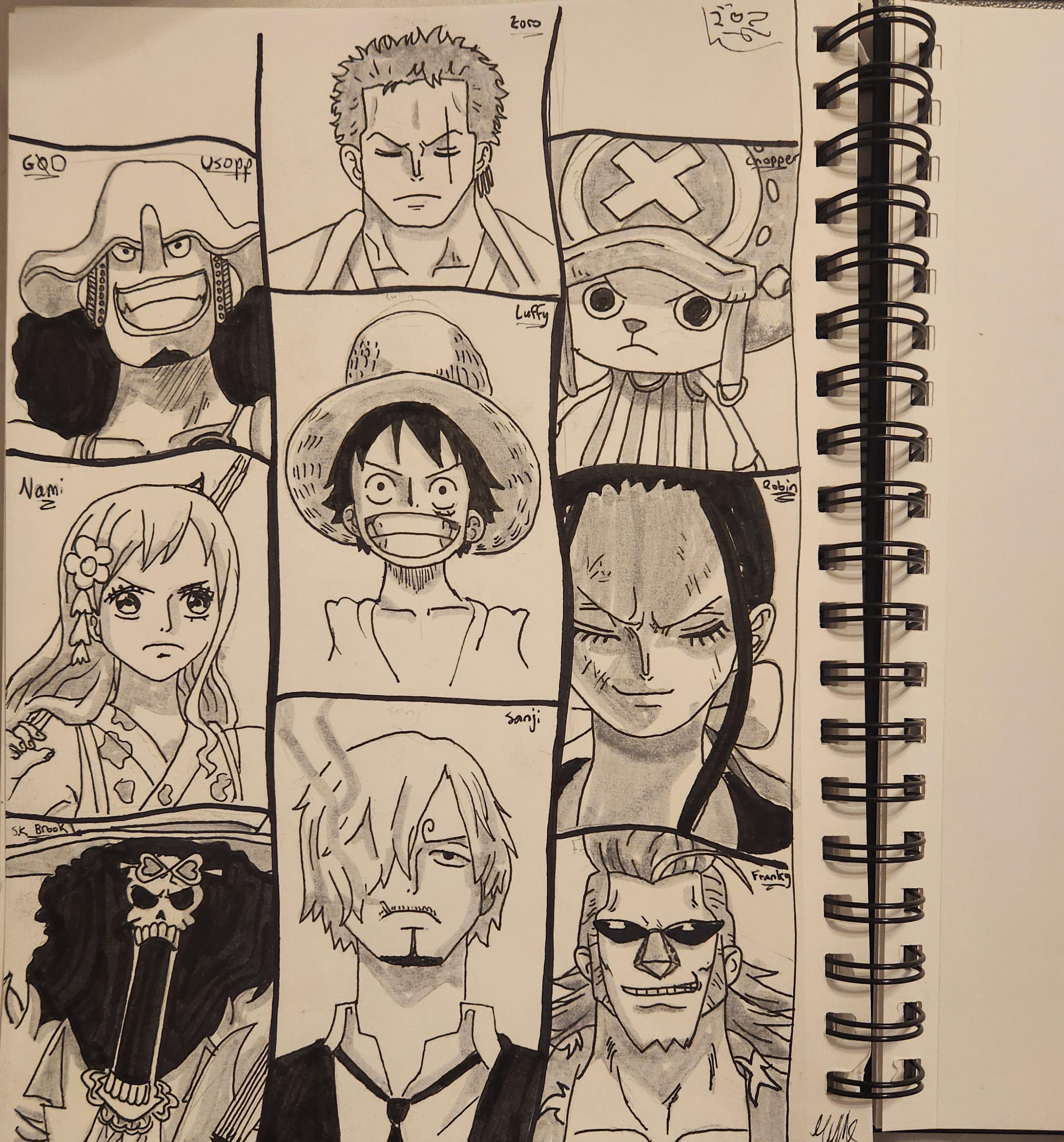 Straw Hat Crew Sketch | Scrolller