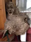 This mask mummified by a wasp nest | Scrolller