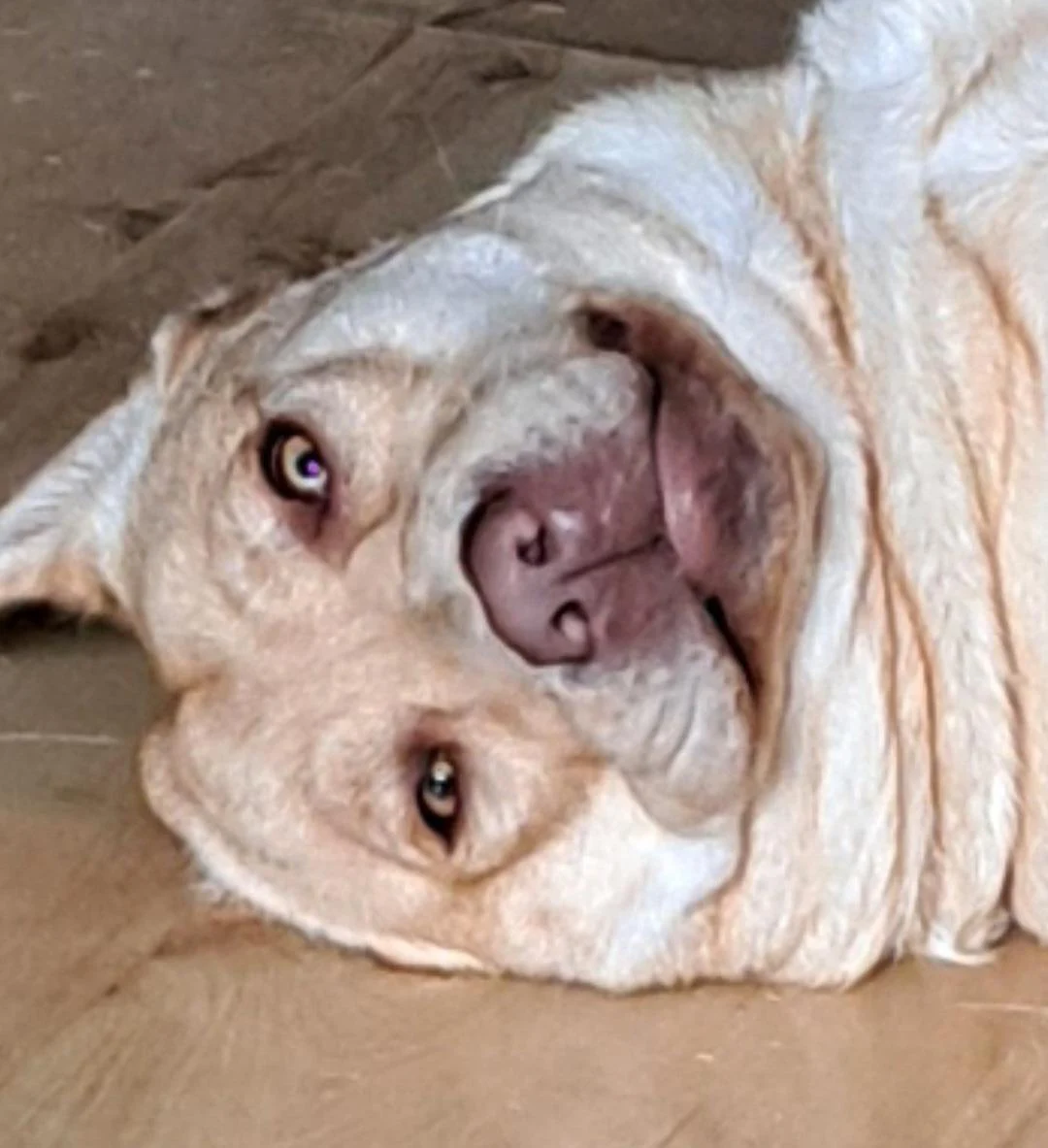 She's very special | Scrolller