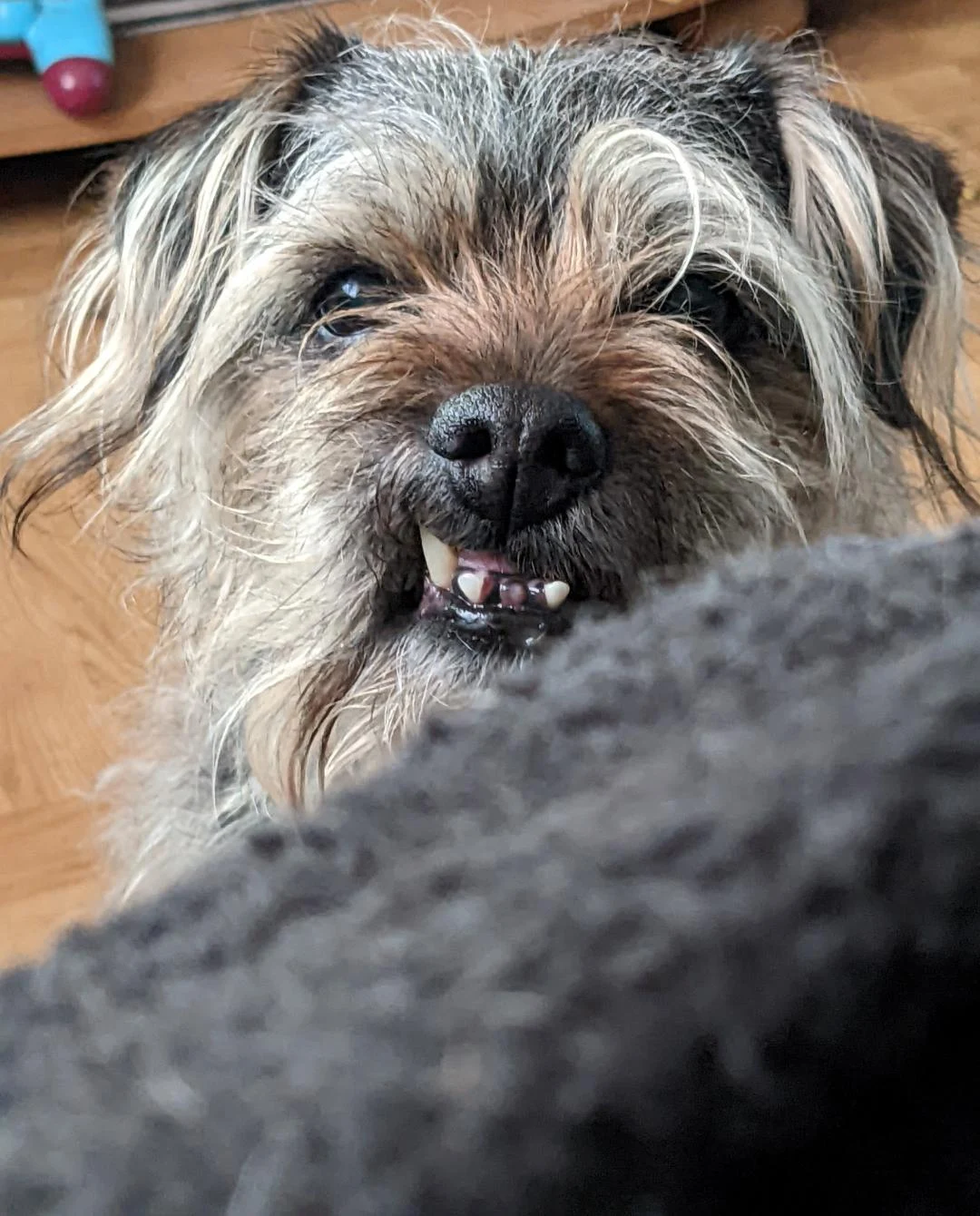 "I also like cheese strings" | Scrolller