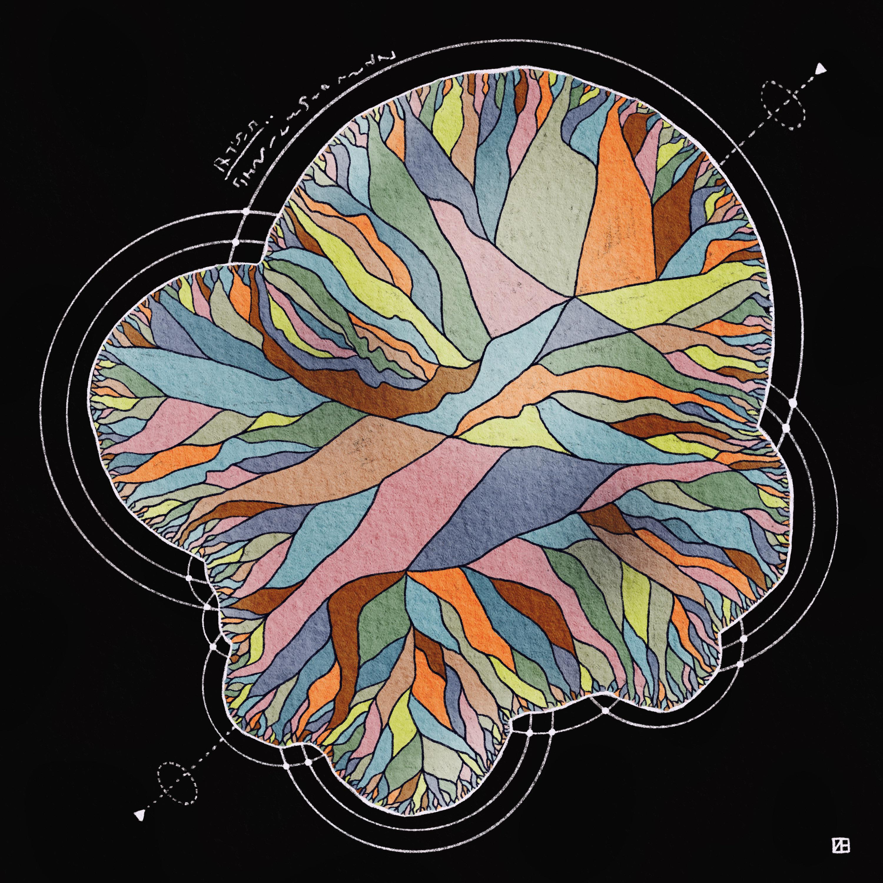 Ecosystem, Me, Digital, 2022 | Scrolller