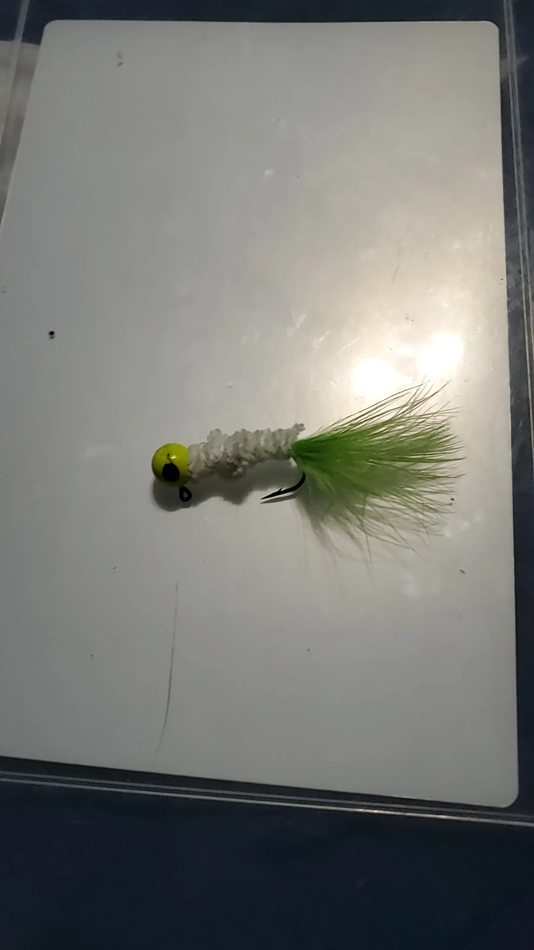 what species of fish can I catch with this | Scrolller