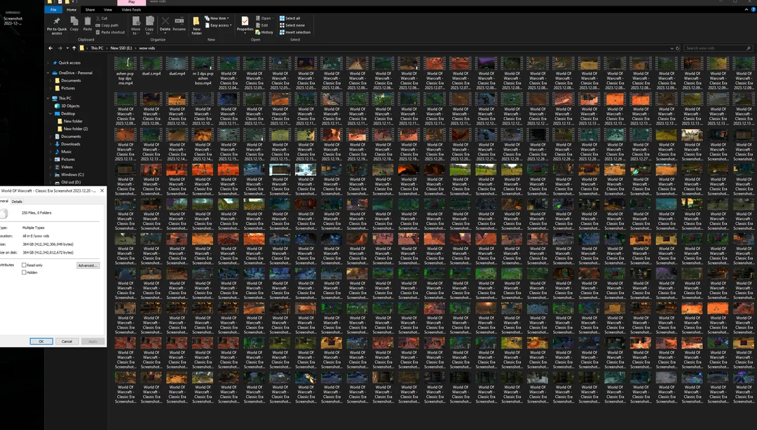 This is how my WoW folder looks like after only phase 1 SoD | Scrolller