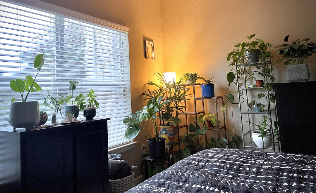 Gf moves in soon. Making space for her allows for this cozy bedroom corner | Scrolller