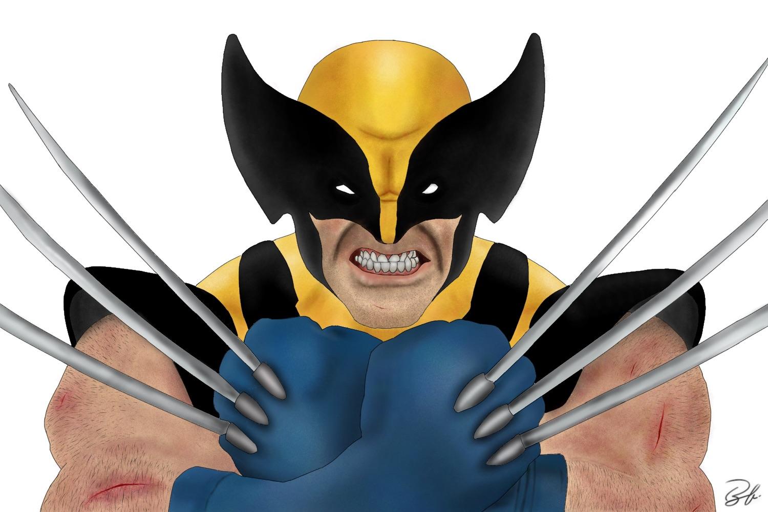 Newest Attempt at Wolverine | Scrolller