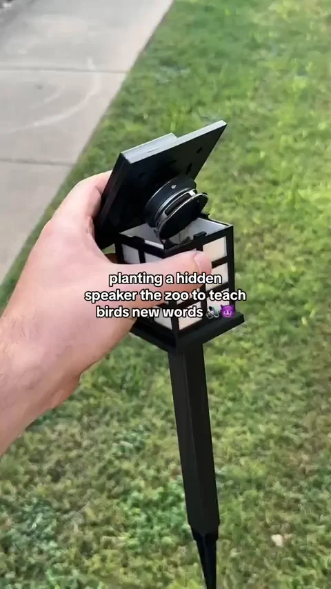 The bird liberation is beginning | Scrolller