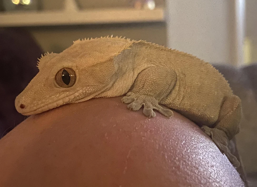 Ricky… | Scrolller