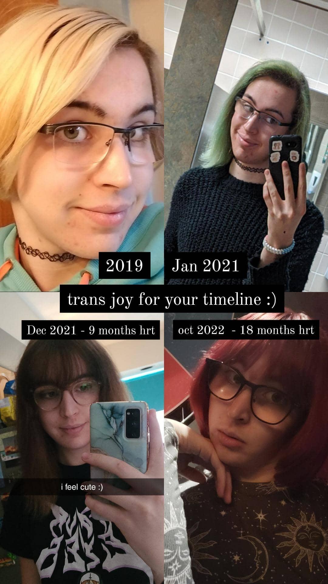 My trans timeline! | Scrolller