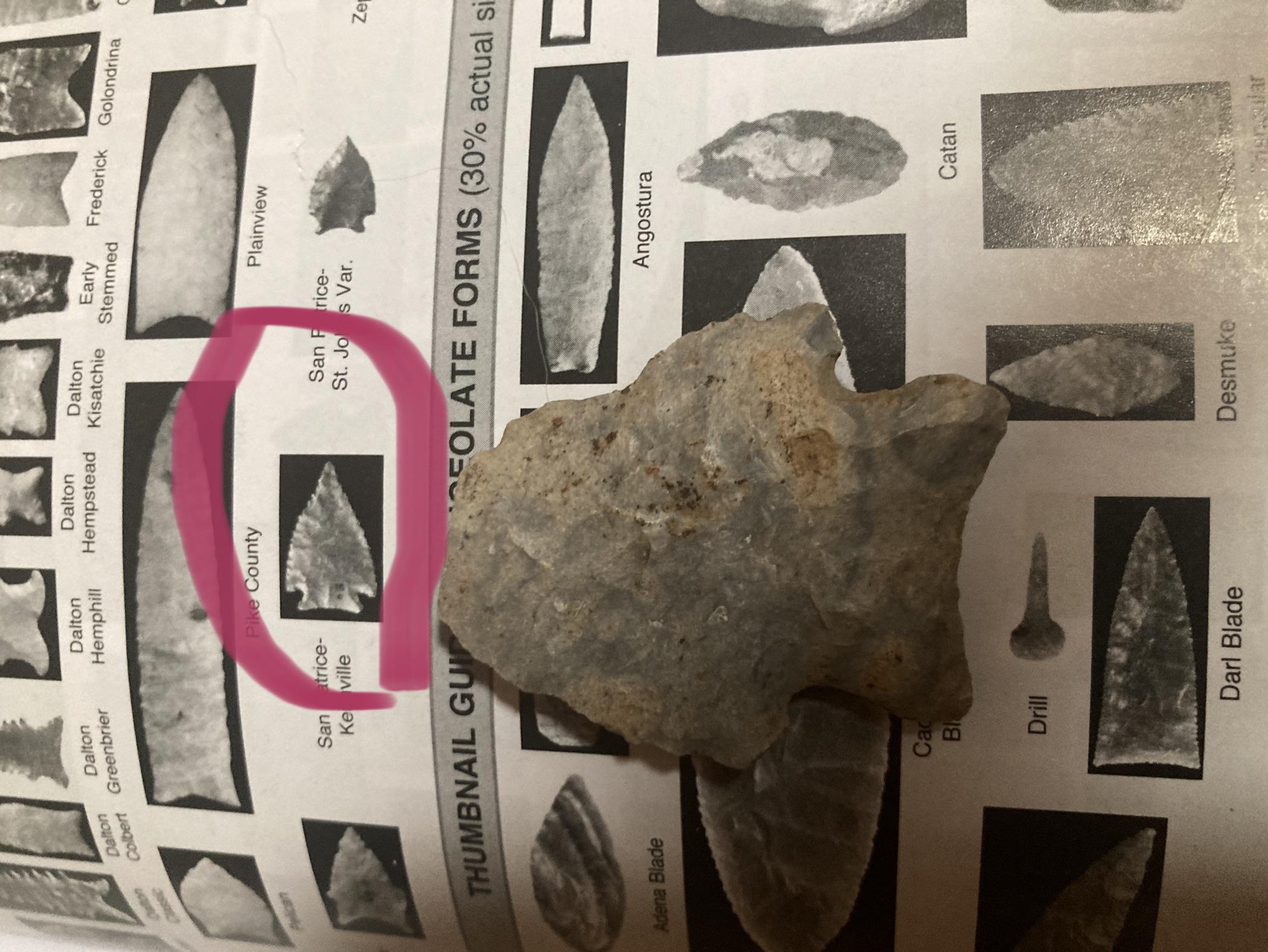 Right identification? | Scrolller