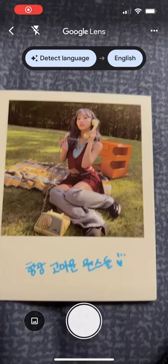 Momo Polaroid with google translate :D | Scrolller