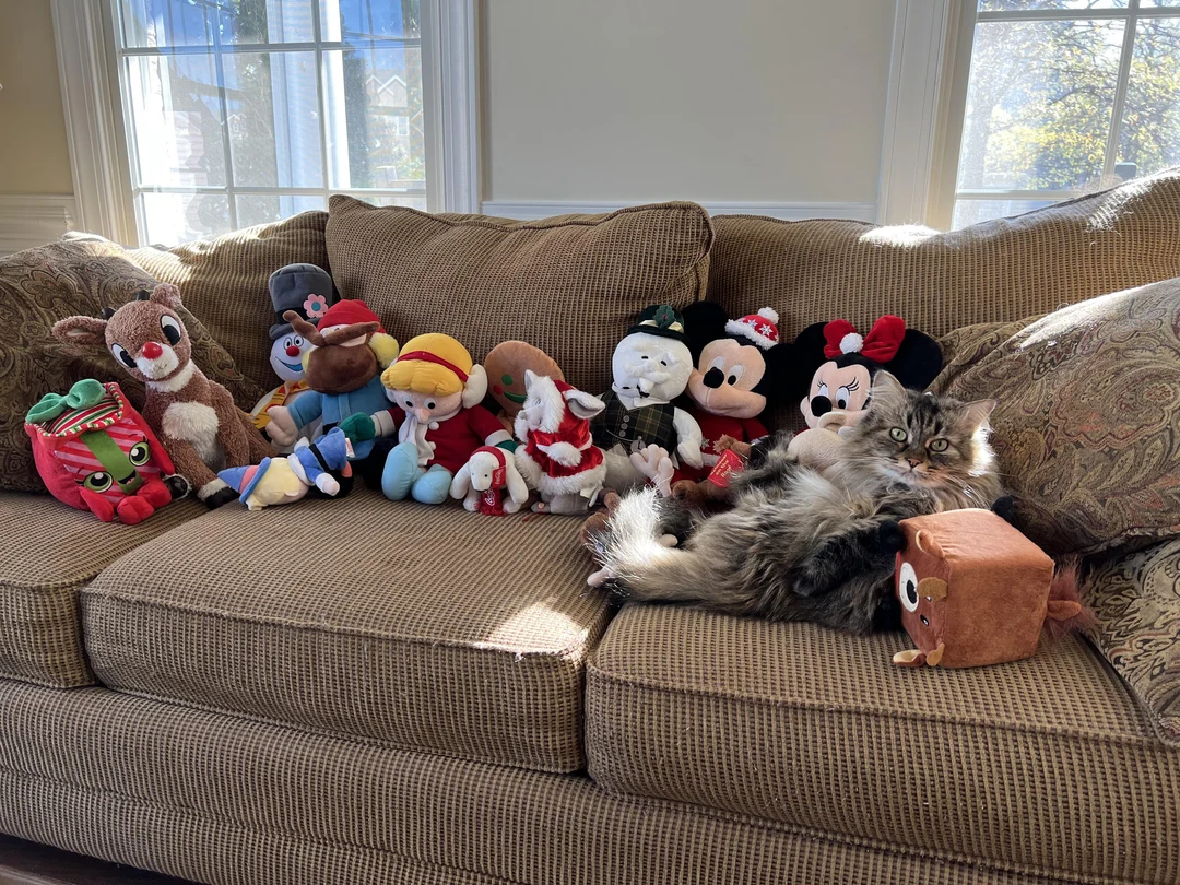 Camouflaged? | Scrolller