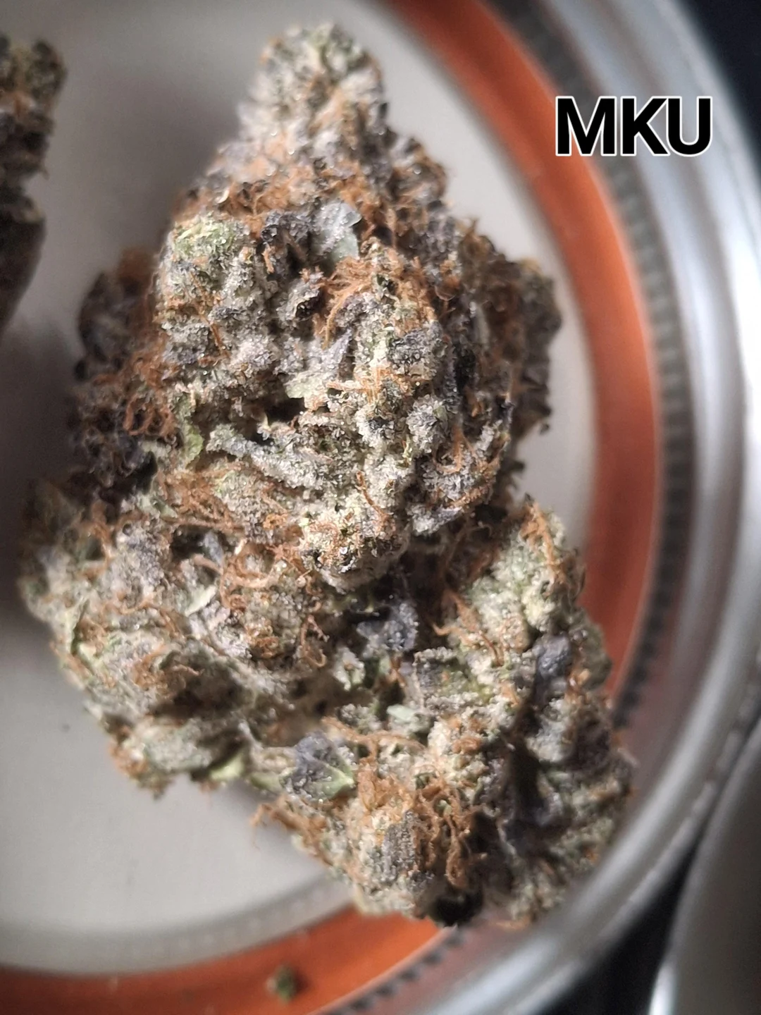 MK ULTRA/ SKUNK MONK | Scrolller