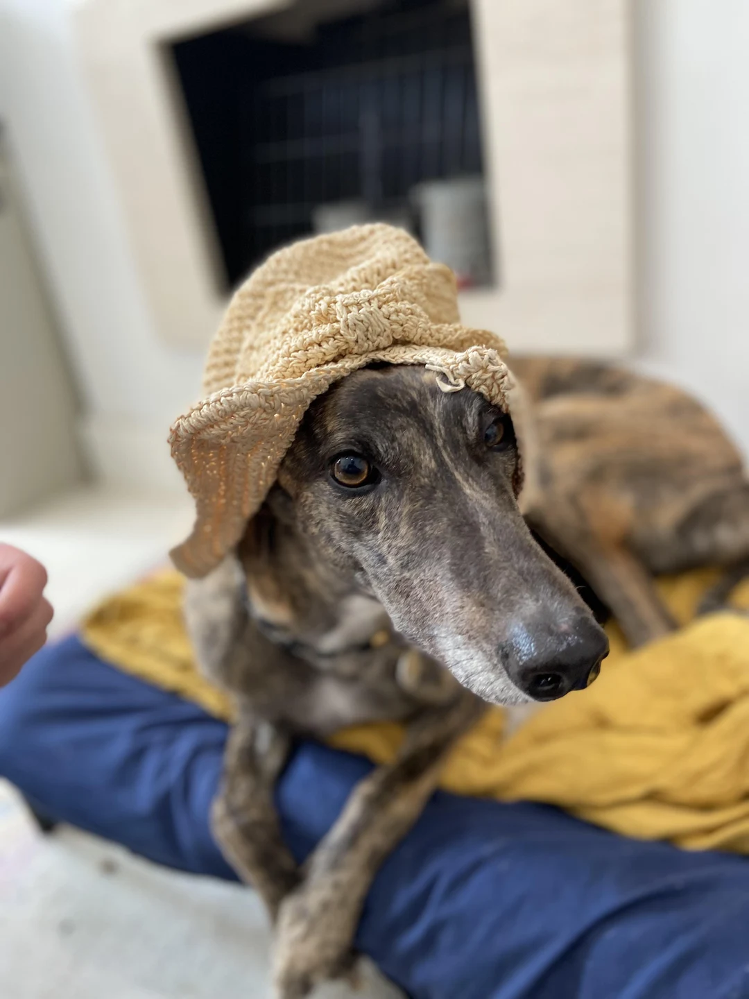 Got to stay cool in this summer heat | Scrolller