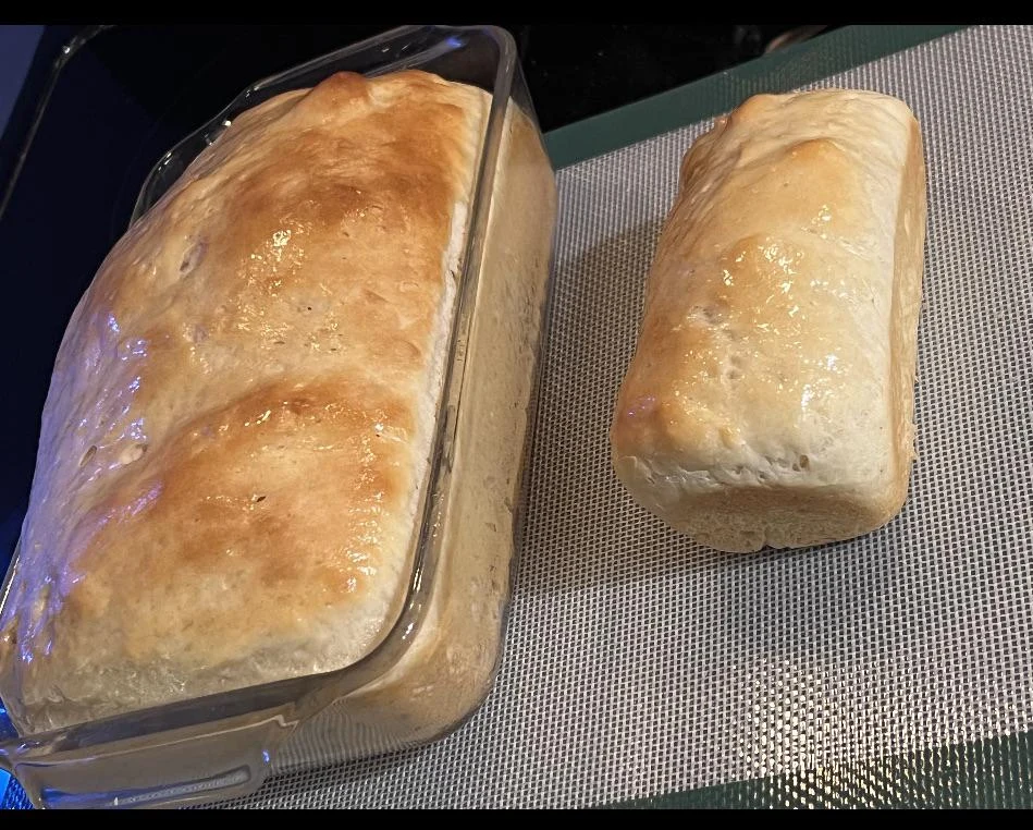 I have only used mini loaves so far, and this regular pan looks massive lol. Buttermilk bread ...