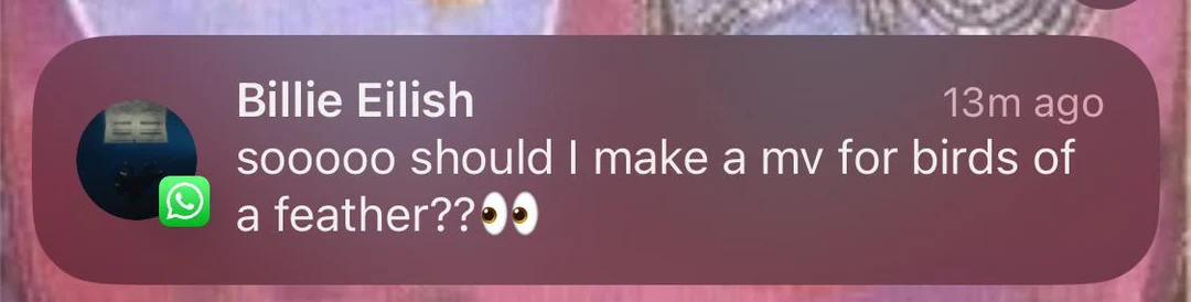 Birds of a feather mv soon | Scrolller