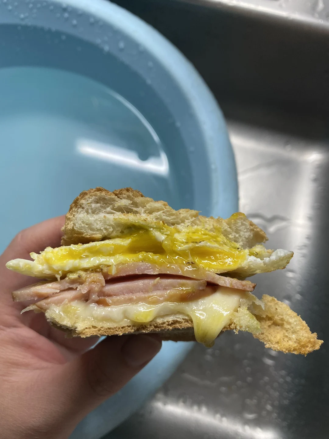 Ham, egg and Muenster cheese | Scrolller