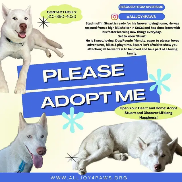 Meet STUART | Scrolller