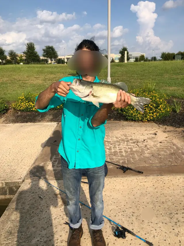 Weight estimate? | Scrolller