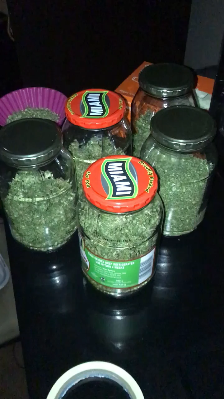 First grow | Scrolller