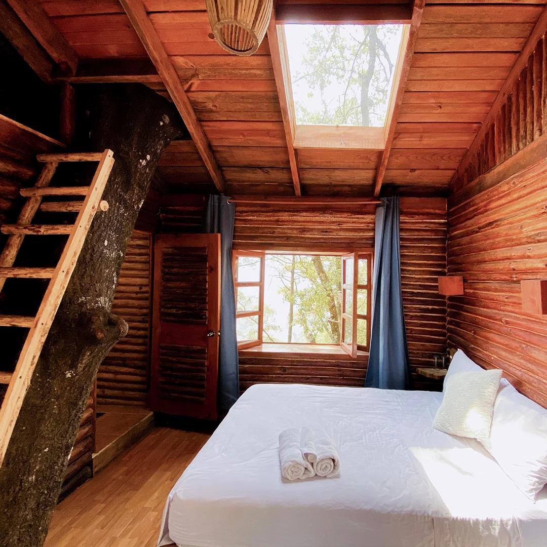 Inside Tree Cabin , day view | Scrolller