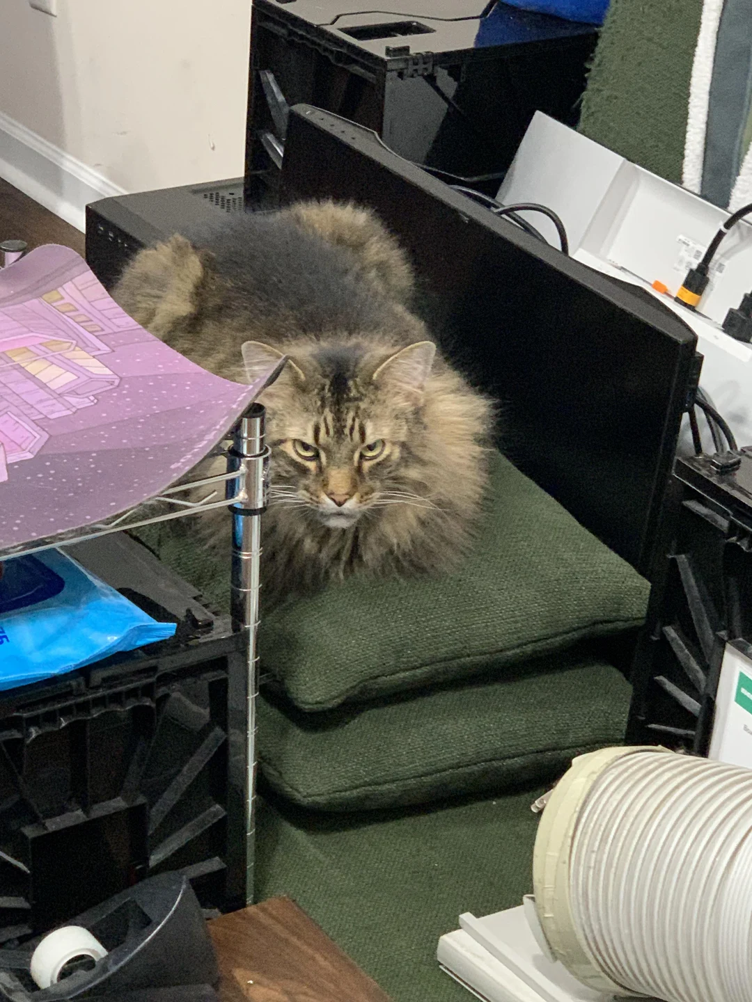 Loaf with grumpy seasoning | Scrolller