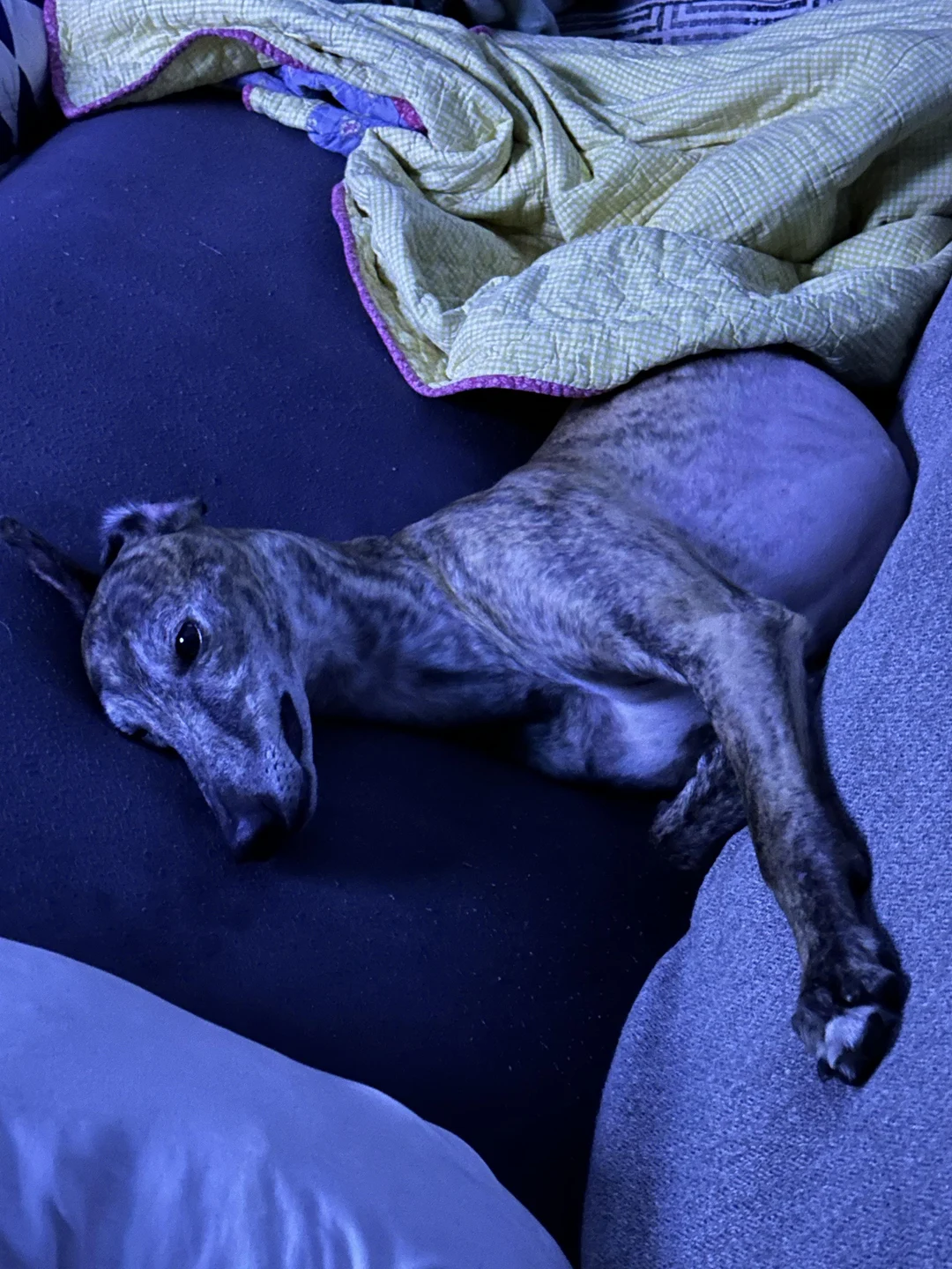 Can someone help identify? | Scrolller