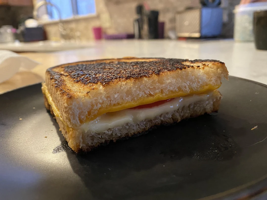 Grilled cheesussy | Scrolller