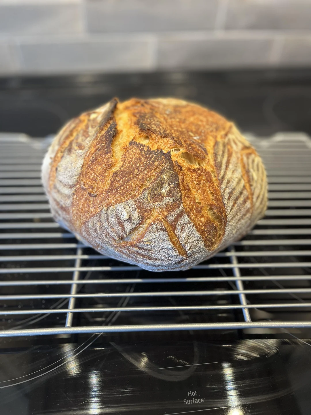 Wanted to share my first (successful) sourdough loaf | Scrolller