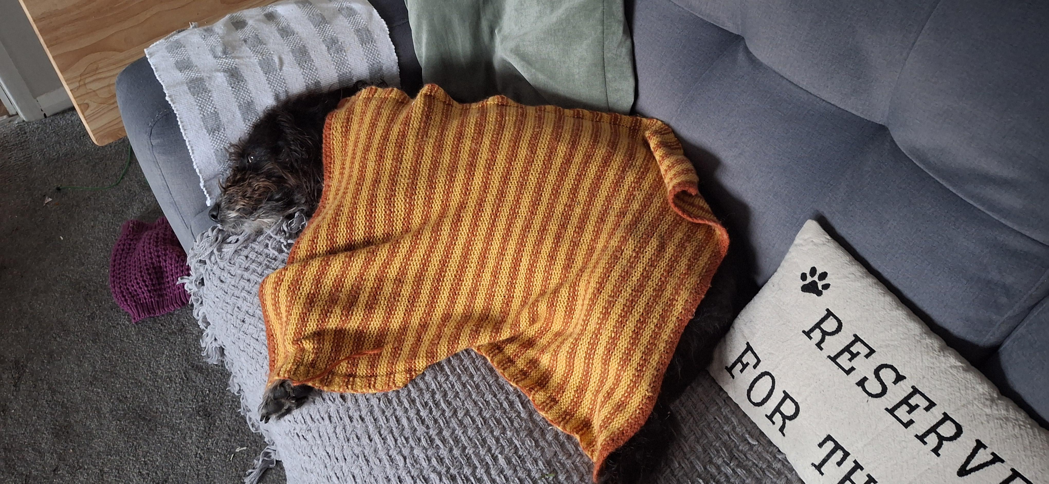 Post walk nap. With his 10 year old blanket | Scrolller