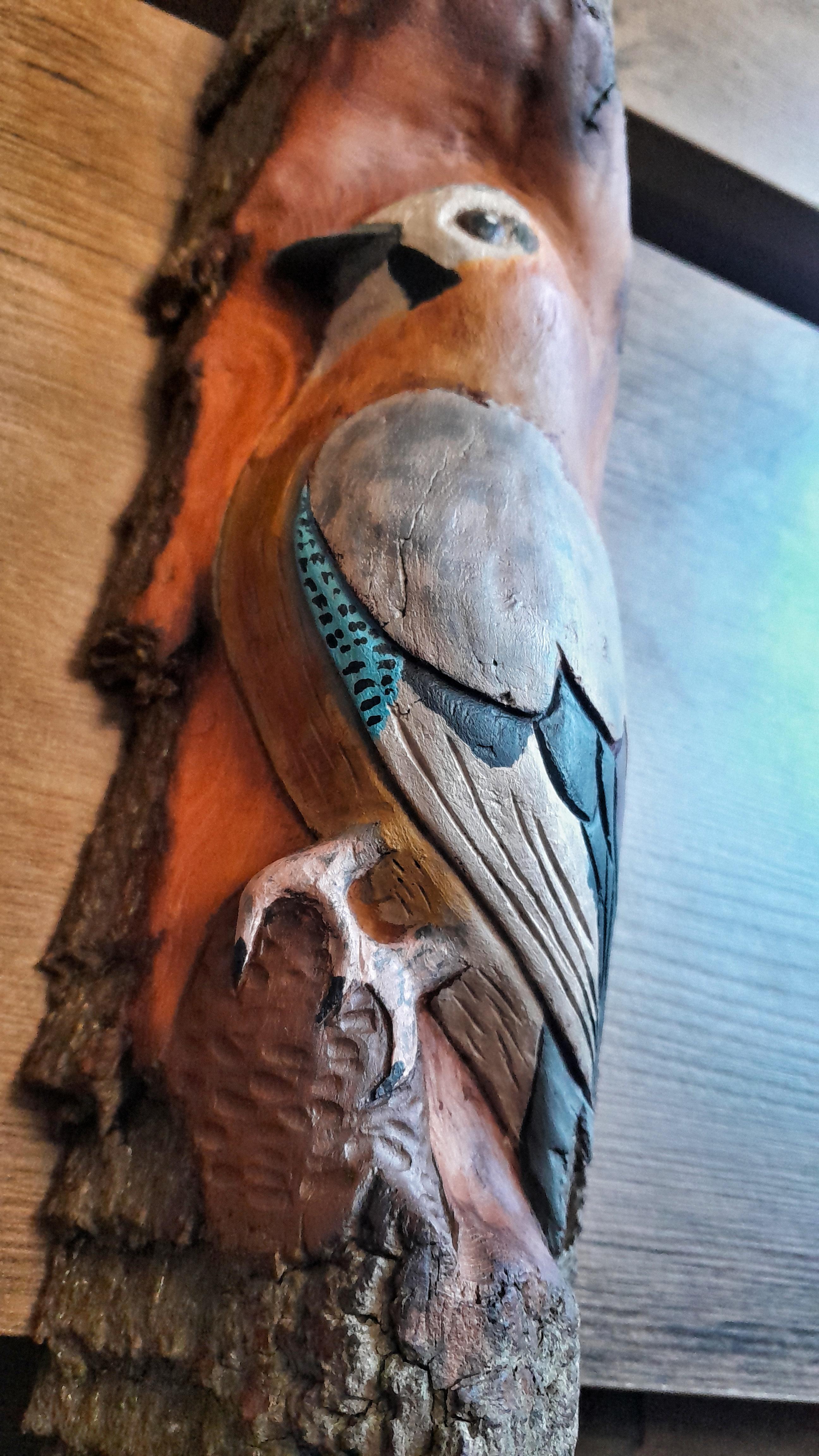 Eurasian Jay | Scrolller