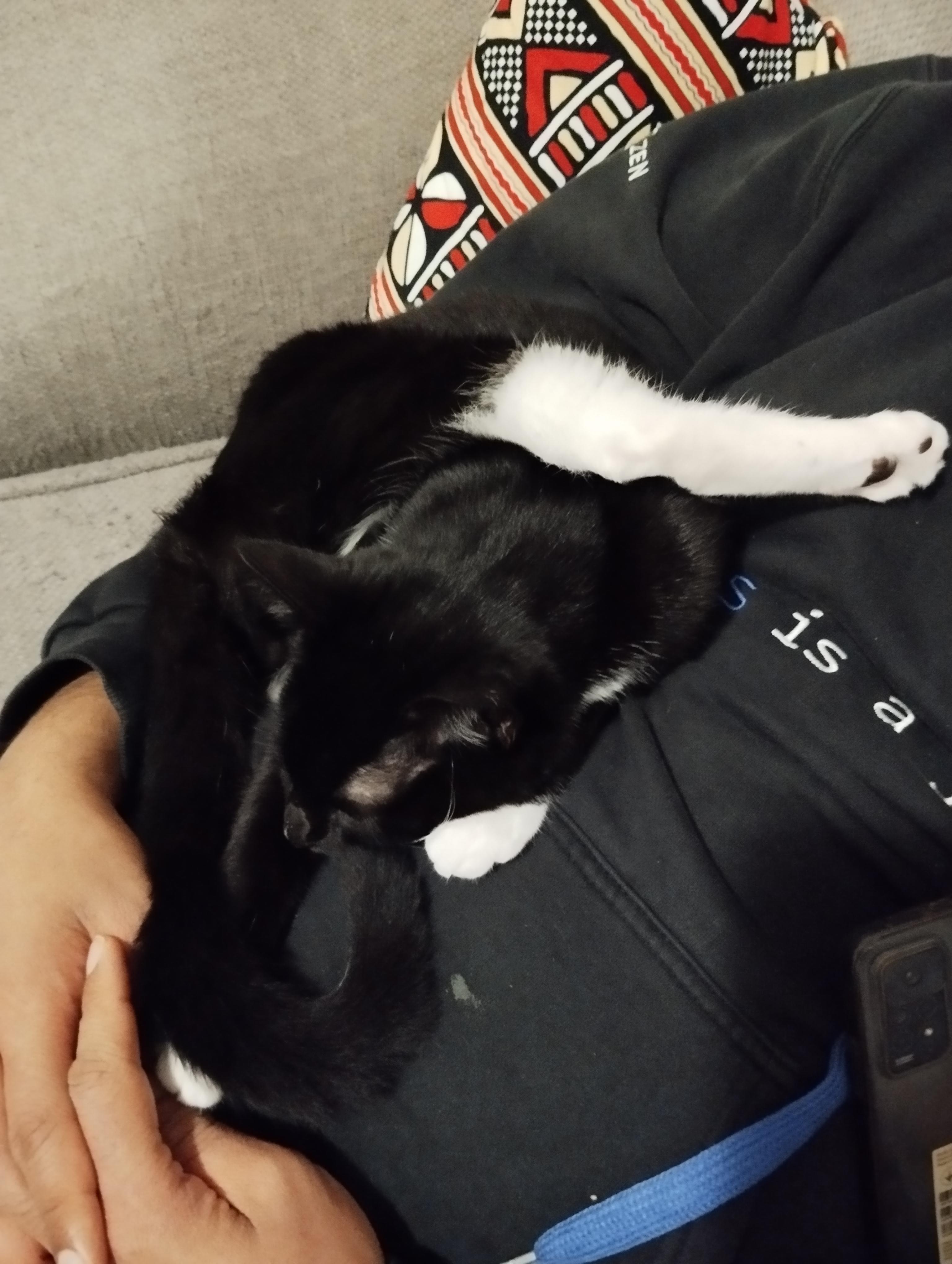 What is this sitting position called? | Scrolller