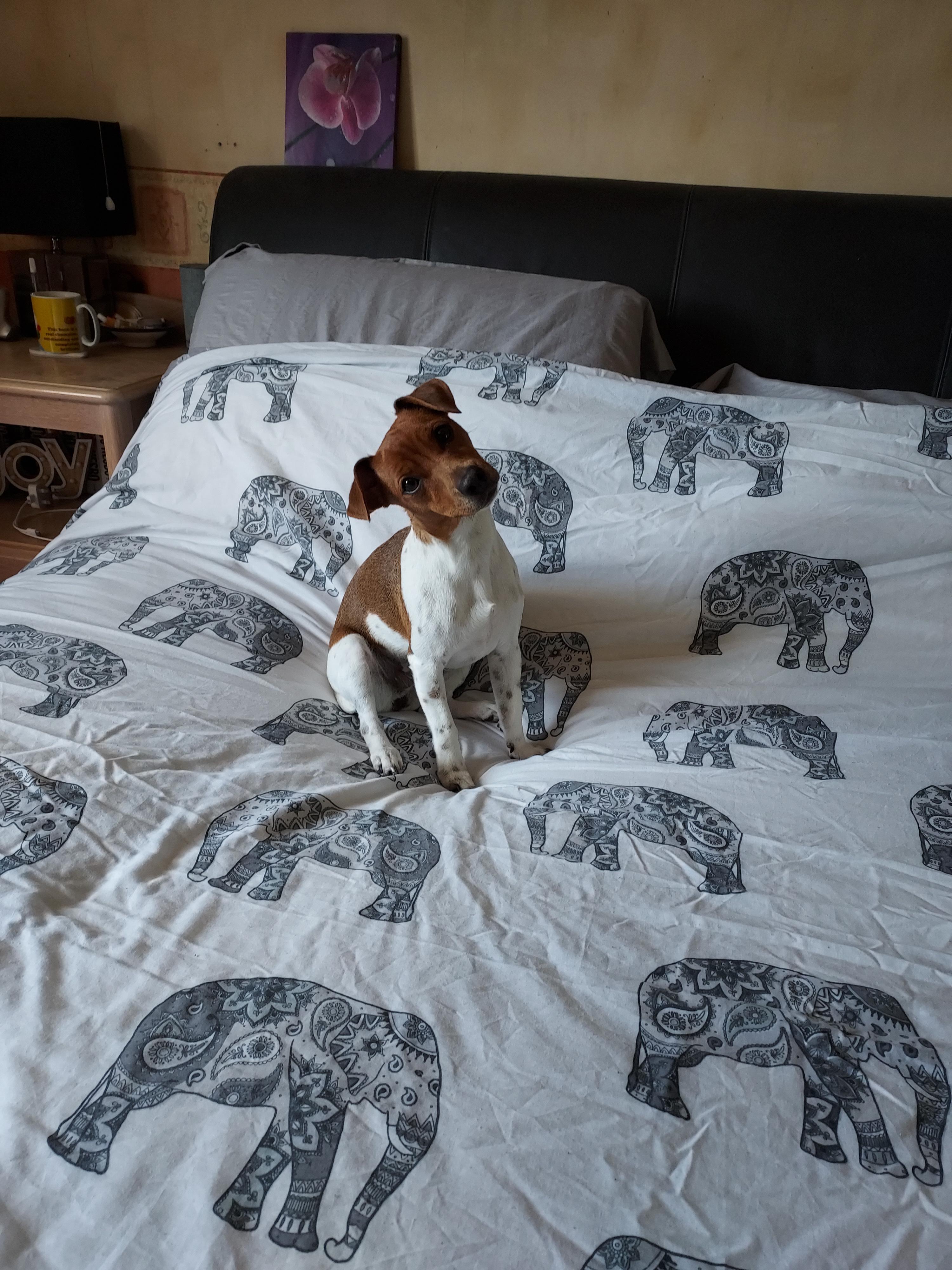 Head tilt game is strong in this one | Scrolller