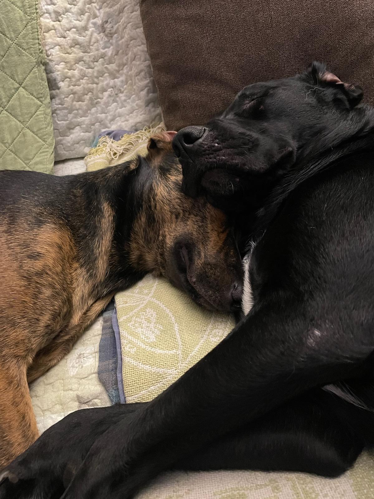 Frank and Daisy. Daisy is the psycho in the relationship | Scrolller