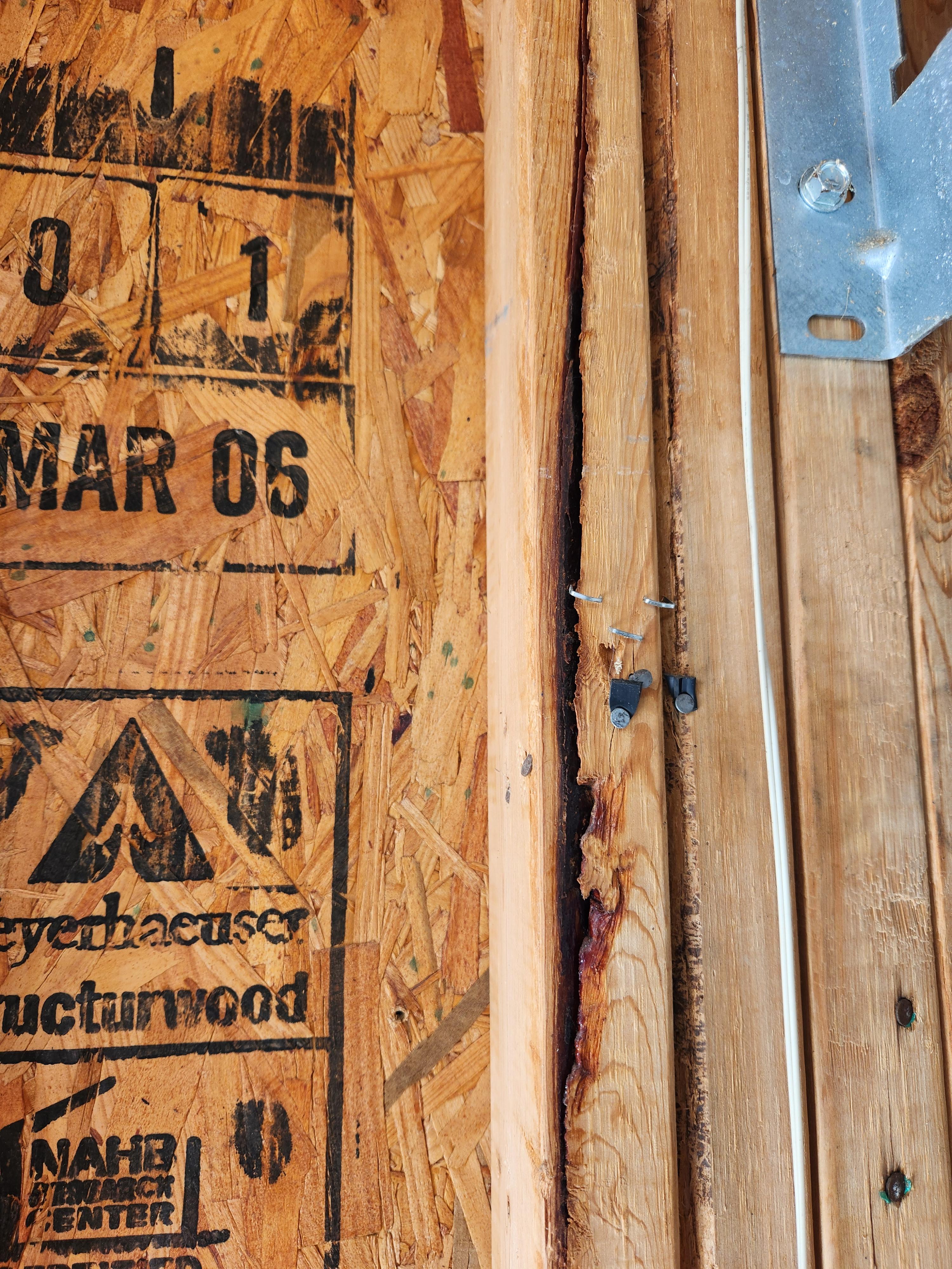 What is this damage? | Scrolller