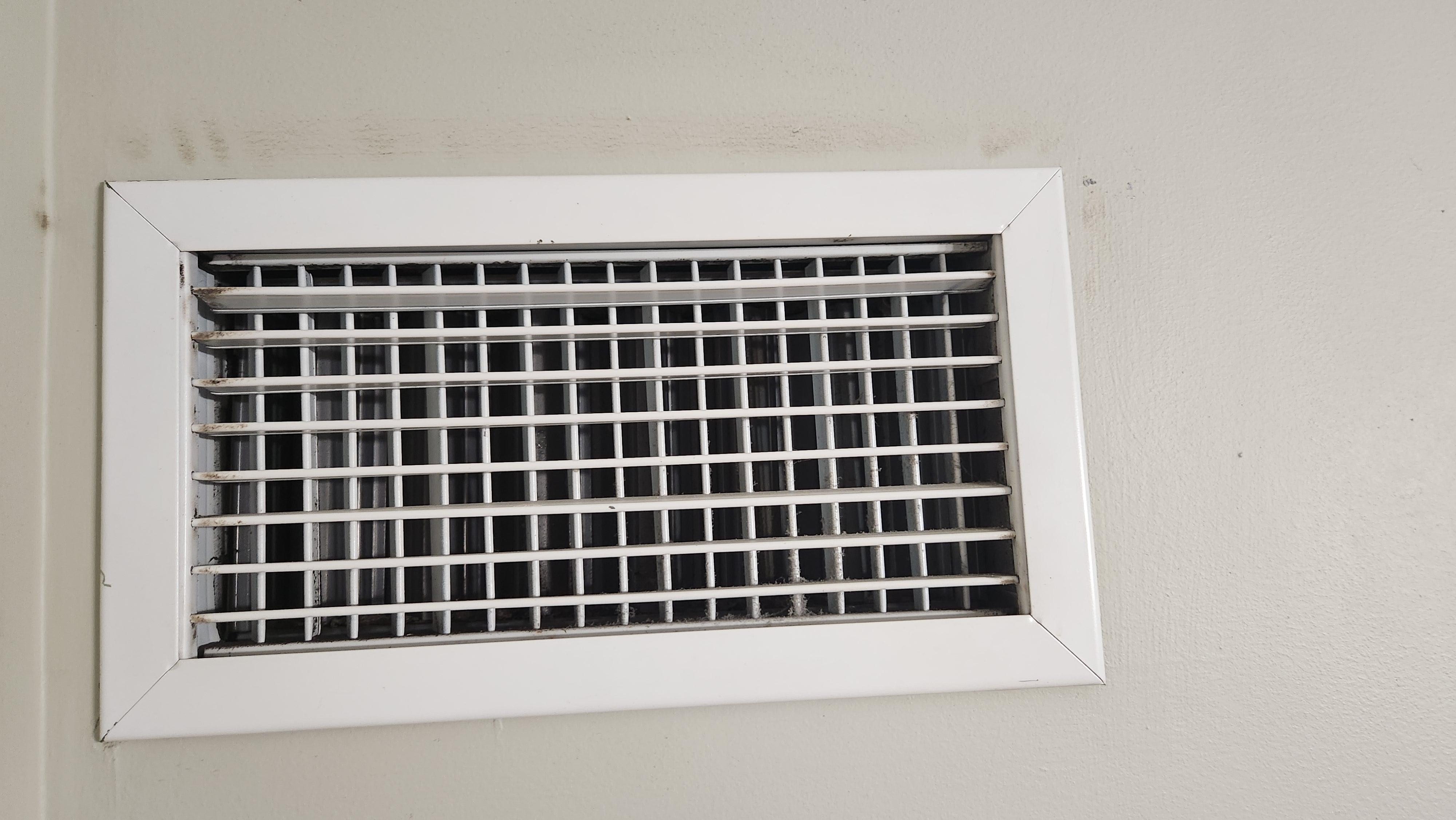 What is this inside my air vent? | Scrolller