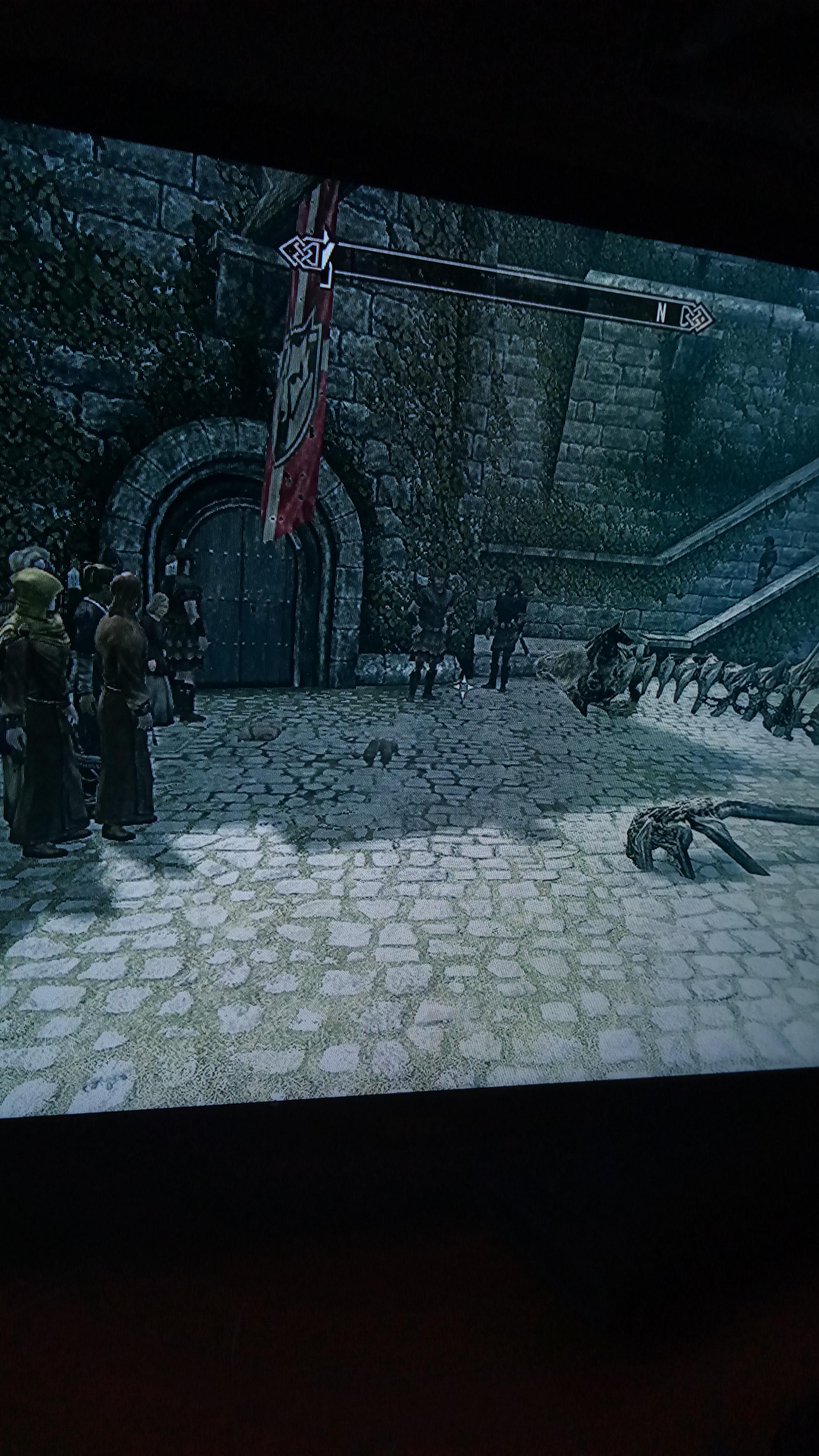 The first time the people of solitude have seen a dragon corpse | Scrolller