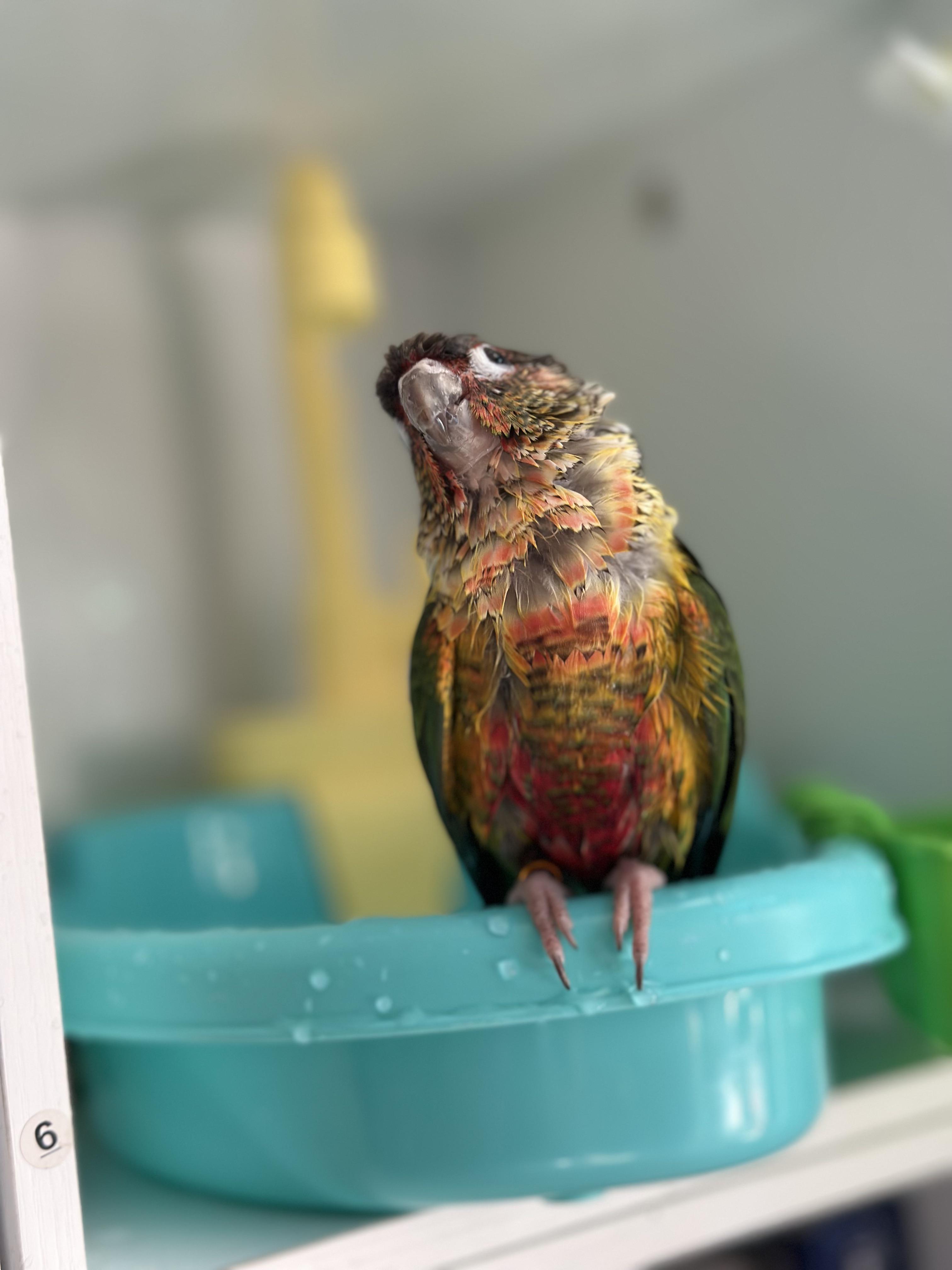 Swimming aftermath | Scrolller