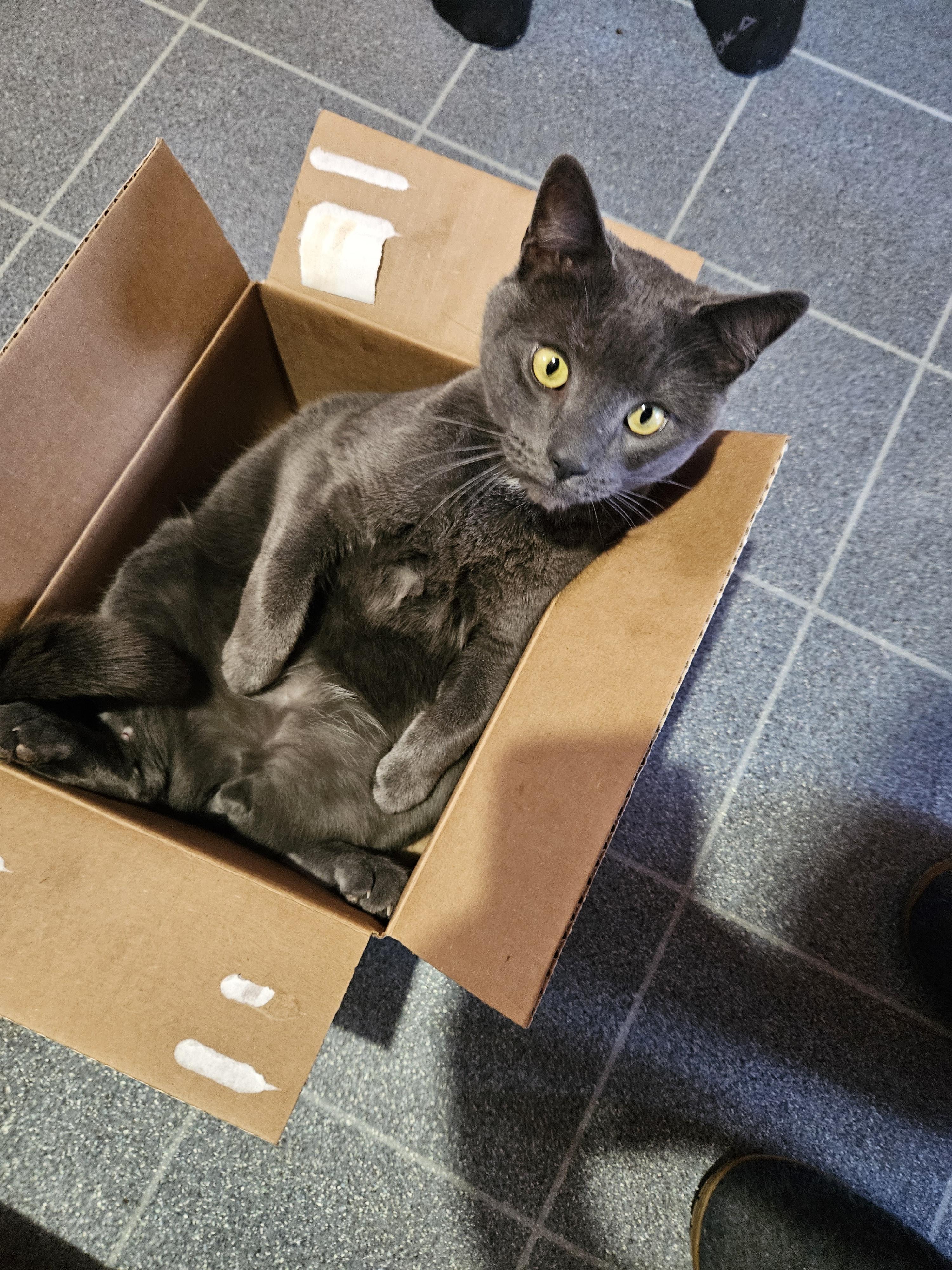 Jake in the box | Scrolller