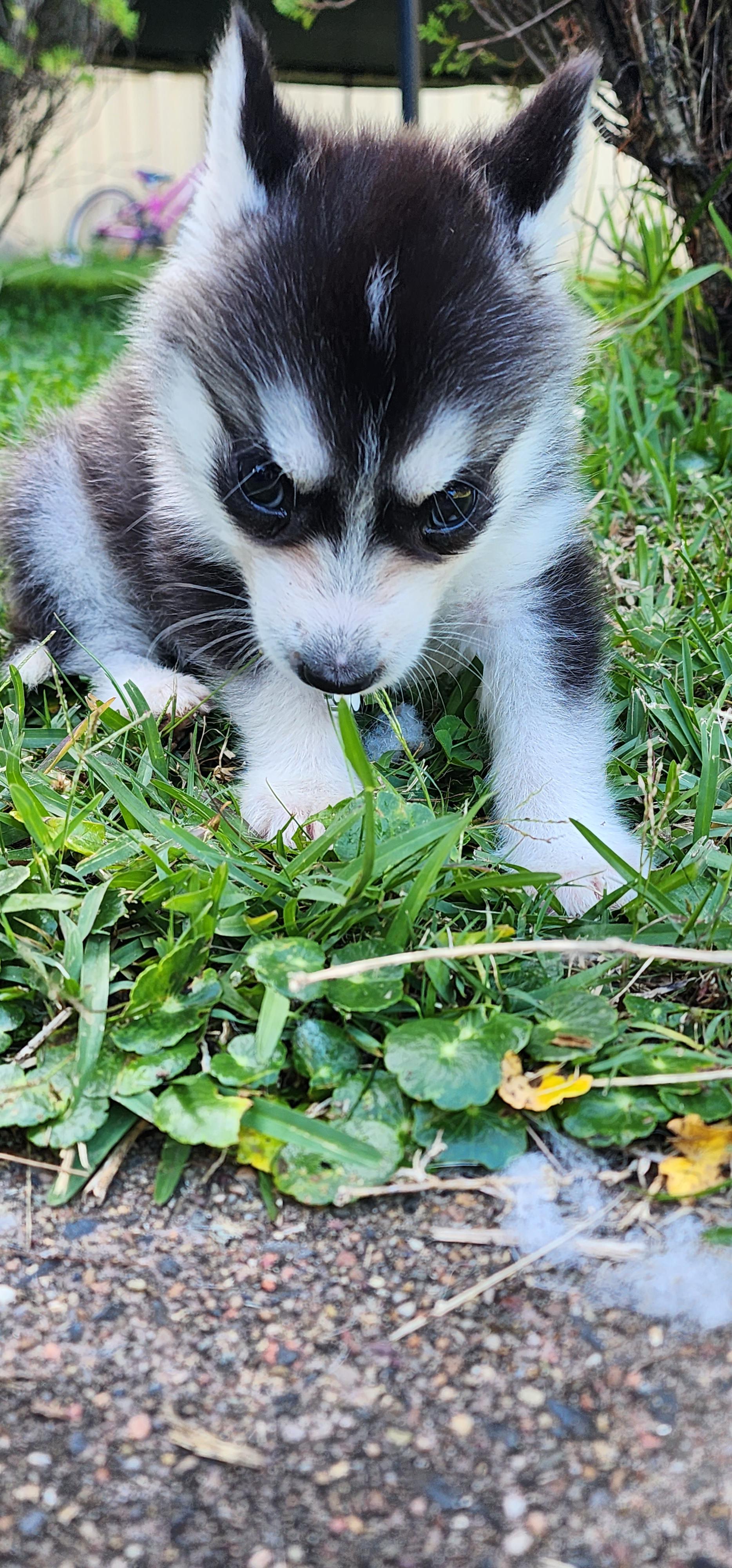 Morning playtime | Scrolller