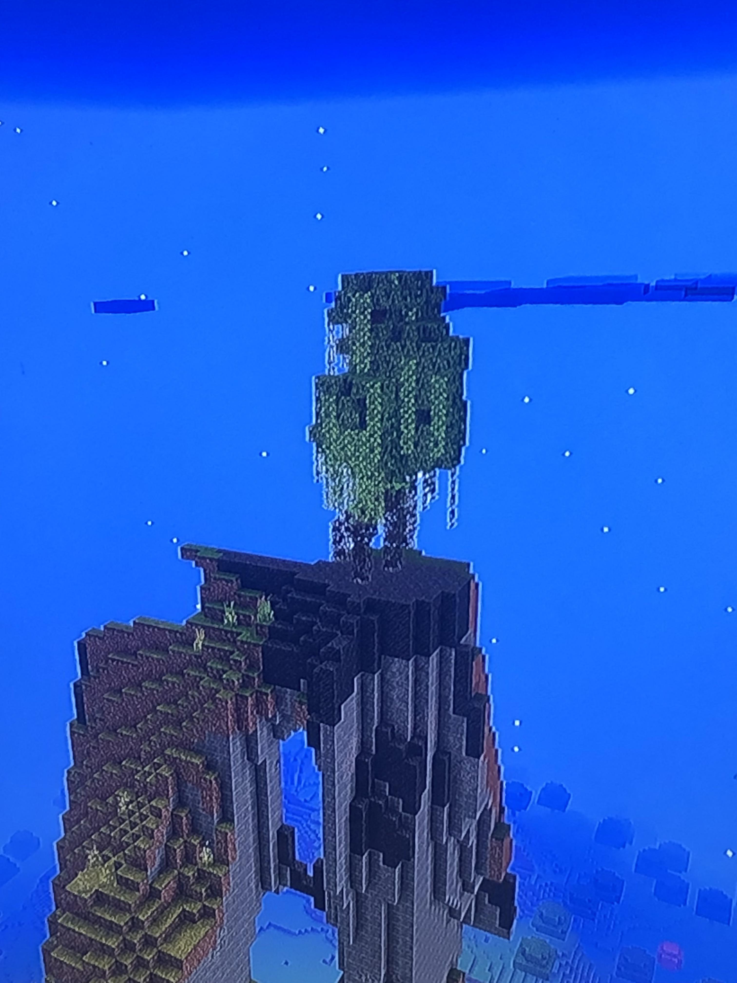 Highest mangrove tree? | Scrolller