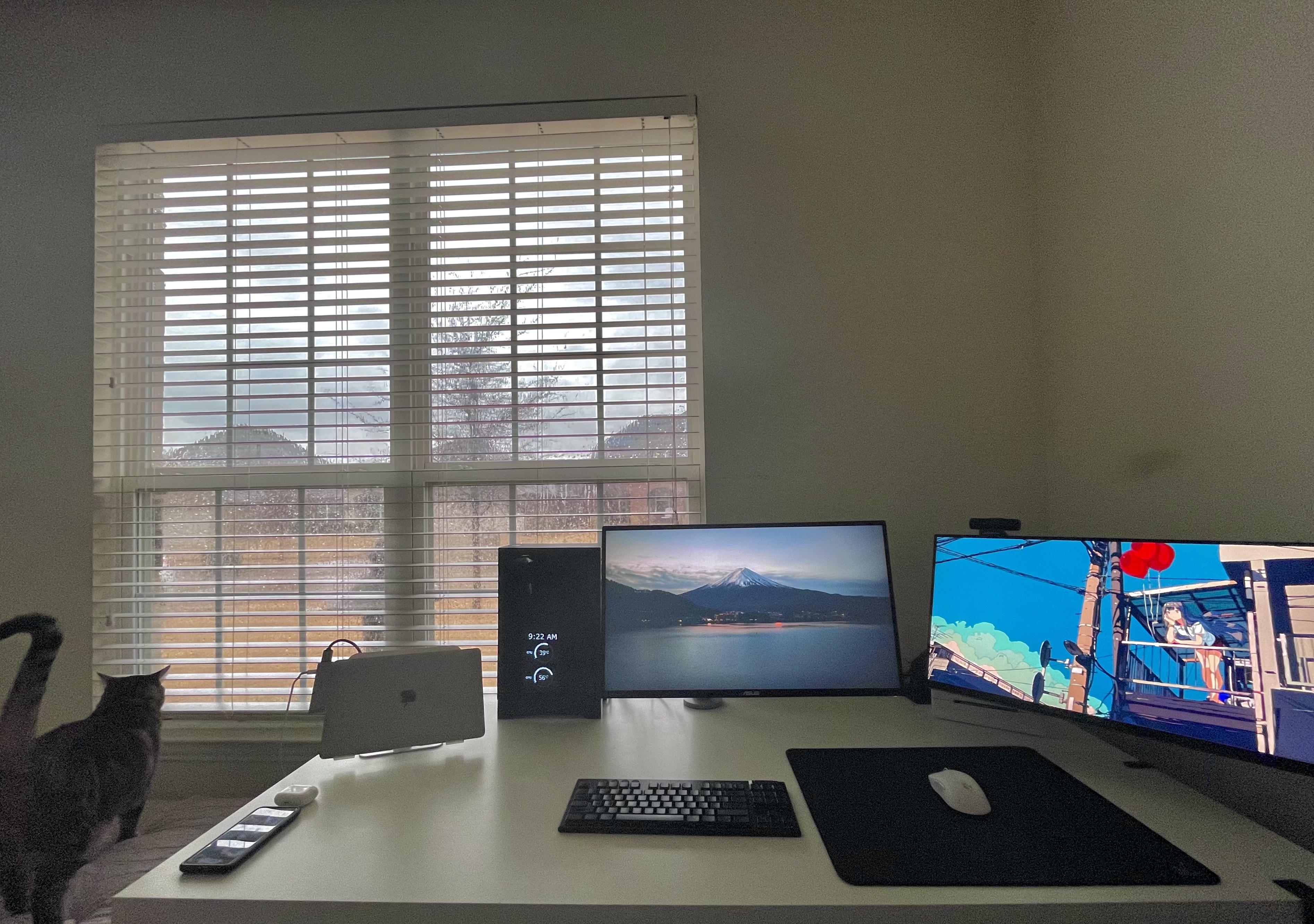 Moved from a Dan-A4 SFX and now my cats enjoy the Meshilicious heat | Scrolller