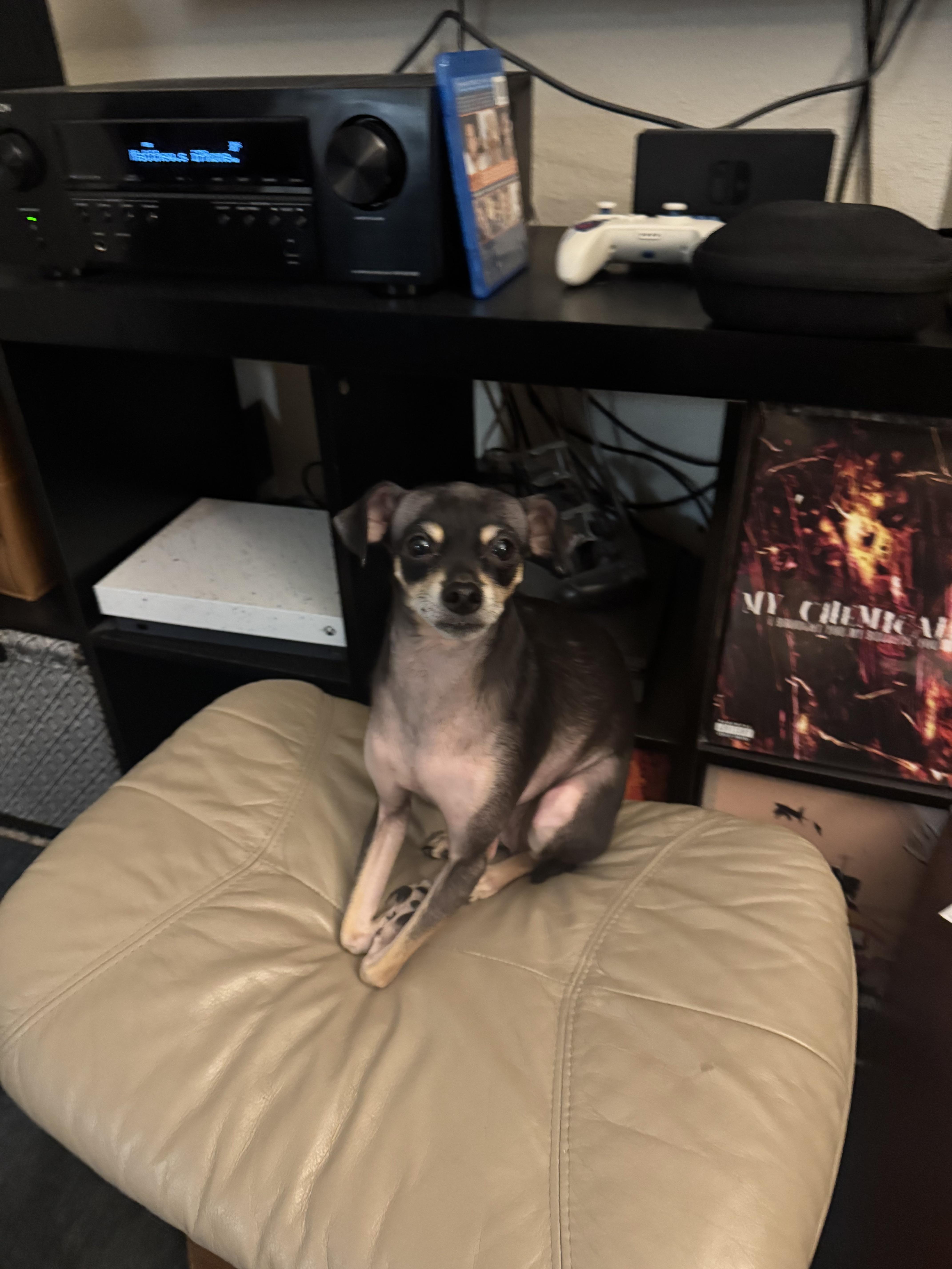 My Naked Boy Chewbacca Is One Of A Kind | Scrolller