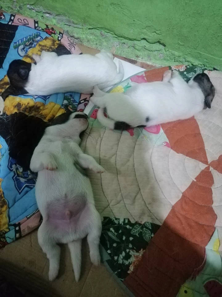 Cuteness overload! | Scrolller