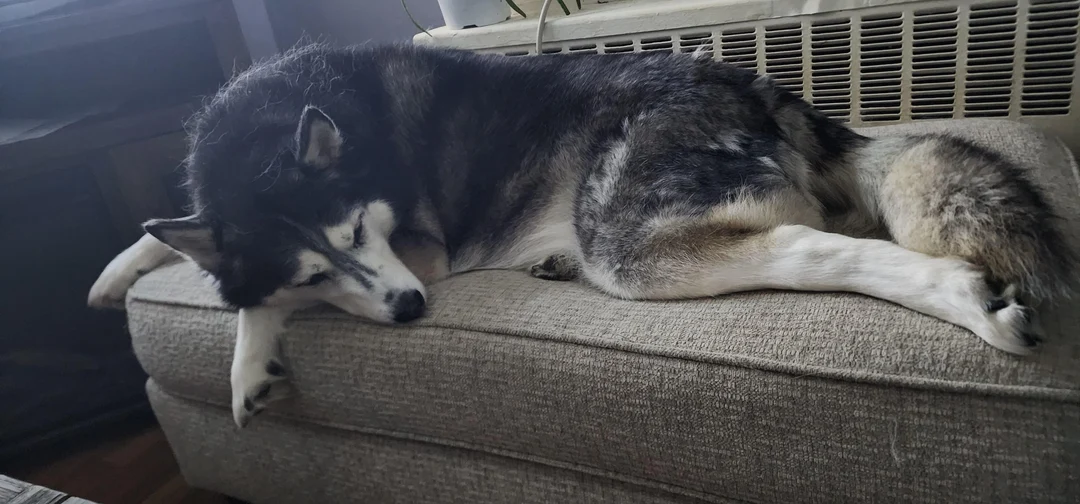 Looking regal in her old age | Scrolller